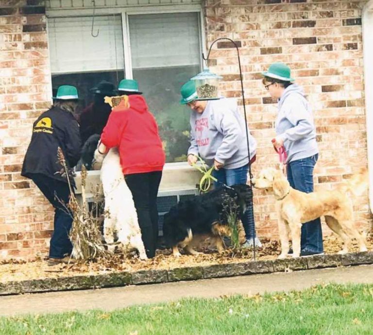 Turning a love of dogs into helping others | WORKING DOG REGISTRY
