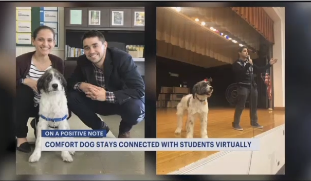 Dog stays connect with students virtually during remote learning ...