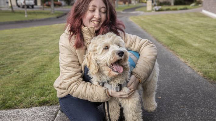 Demand Therapy Dogs - Working Dog Registry