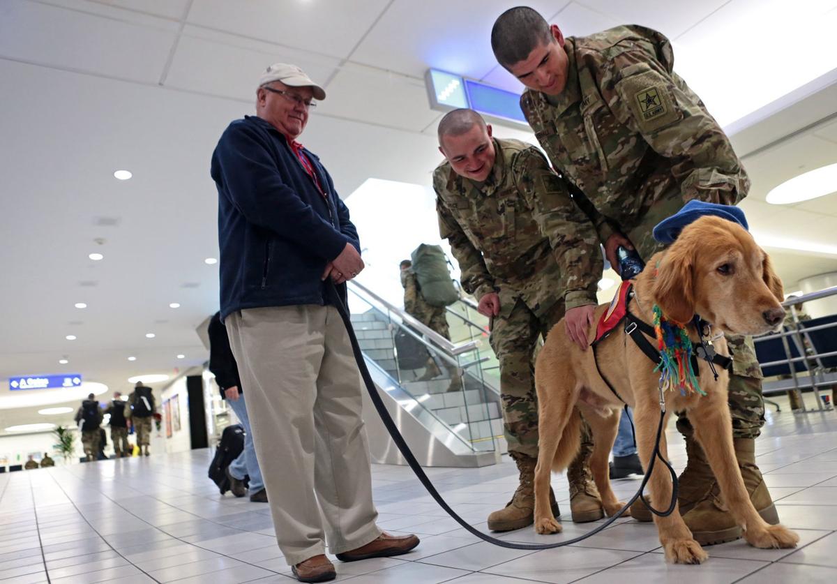 Missouri Ready For Service Dogs - Working Dog Registry