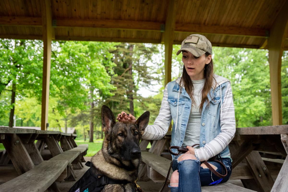 Medical Service Dog - Working Dog Registry