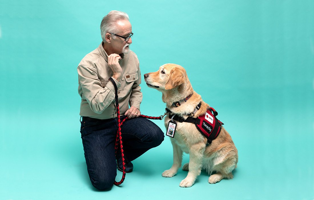 THE THERAPY DOG - Working Dog Registry