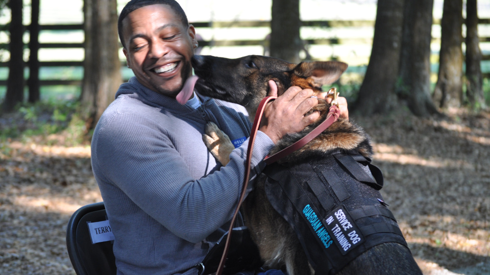 Medical Services Dog - Working Dog Registry