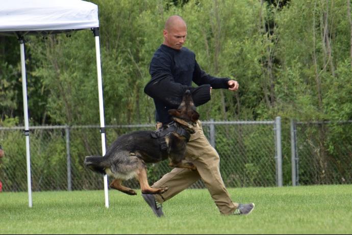 Law Dogs | WORKING DOG REGISTRY