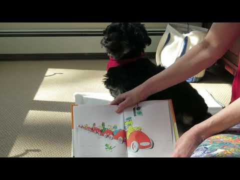 Connie & Escobar from Therapy Dogs of Rockland read us a story ...
