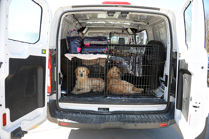 DOG TRAINING PROGRAM | WORKING DOG REGISTRY