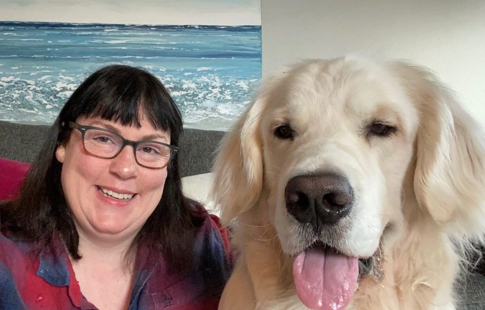 Casper The Therapy Dog | WORKING DOG REGISTRY