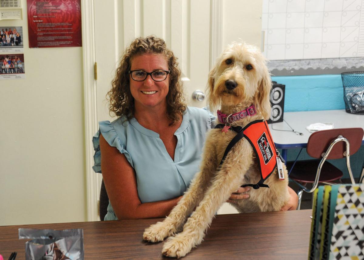 Service Dog Helps Students - Working Dog Registry