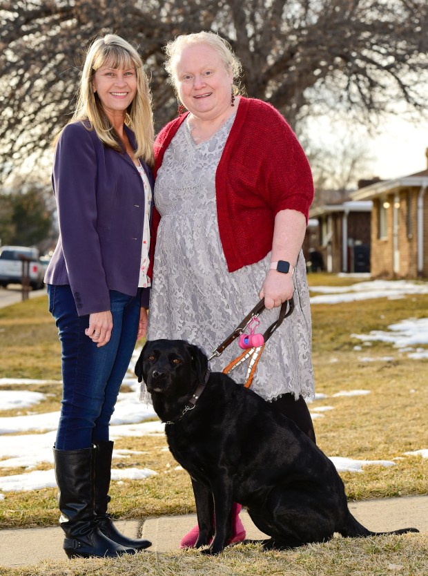 Animal Therapy | WORKING DOG REGISTRY