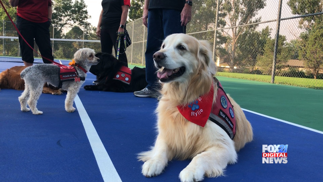 The Go Team Earns Award - Working Dog Registry