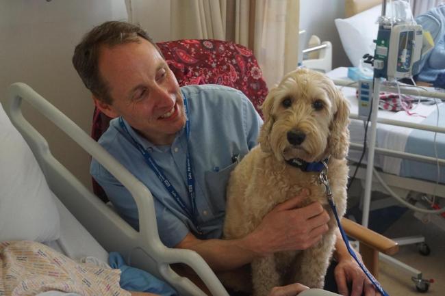 Jasper The Therapy Dog | WORKING DOG REGISTRY