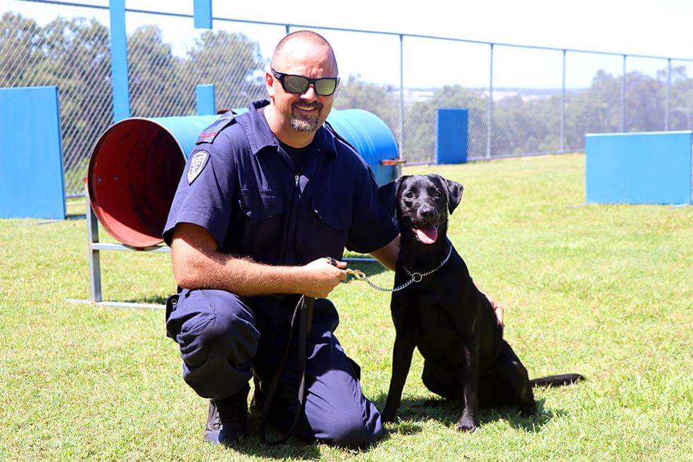 Corrections Dog Saves The Day - Working Dog Registry