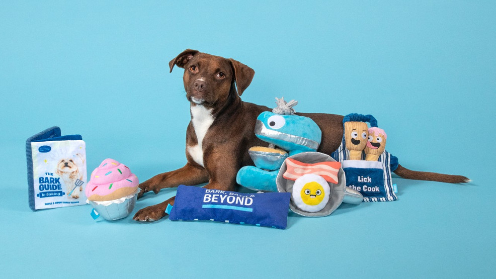 BarkBox Launching Essentials - Working Dog Registry