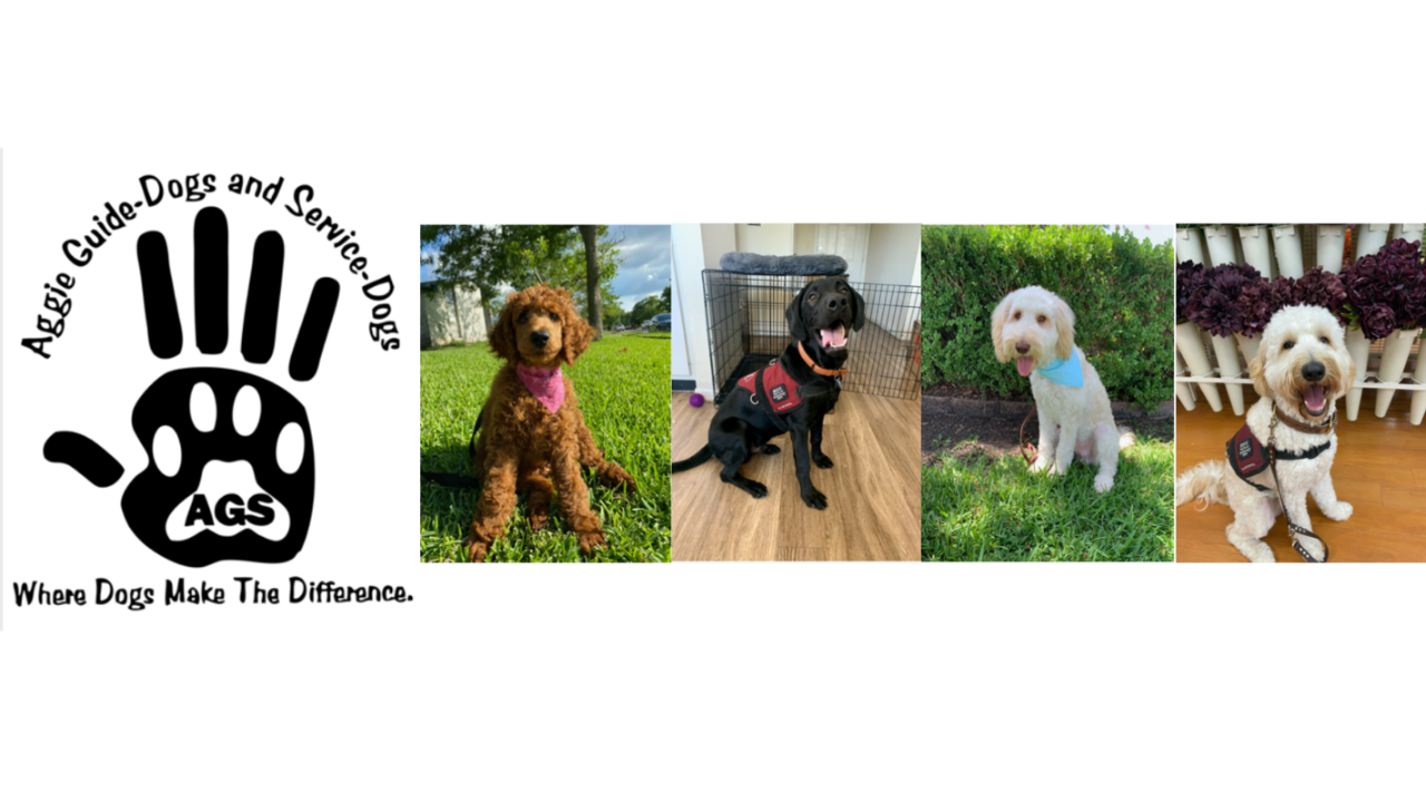 Dogs Social Distance | WORKING DOG REGISTRY