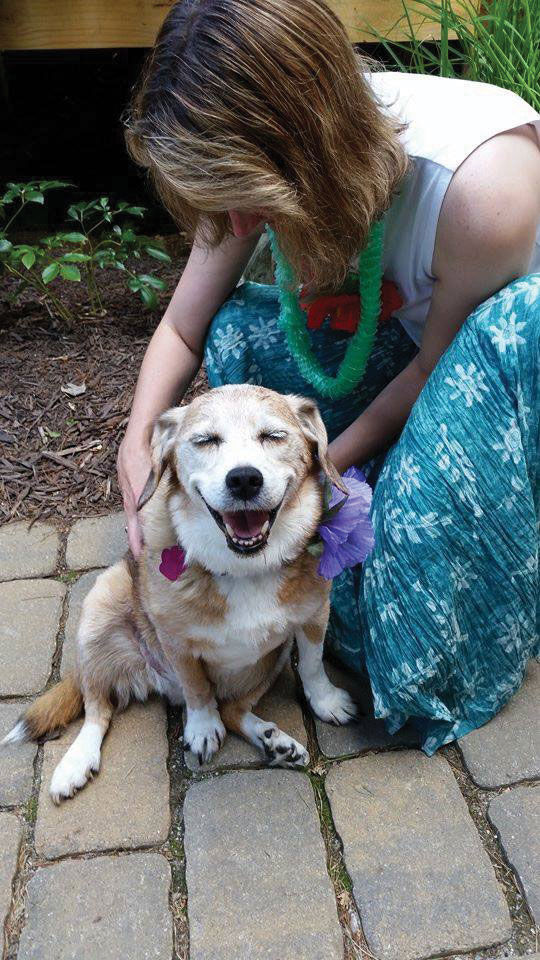 Pet Pampering | WORKING DOG REGISTRY