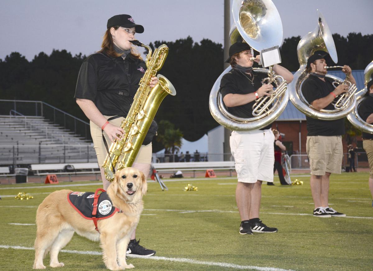 Service Dog In The Marching Band - Working Dog Registry