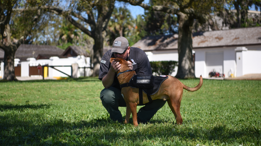 K9s For Warriors | WORKING DOG REGISTRY