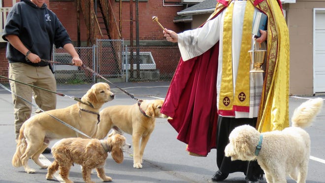 Church Blesses Animals - Working Dog Registry