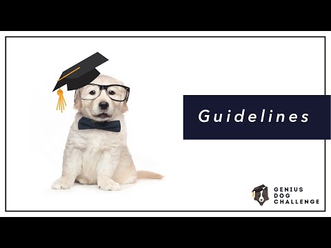 Genius Dog Challenge | WORKING DOG REGISTRY