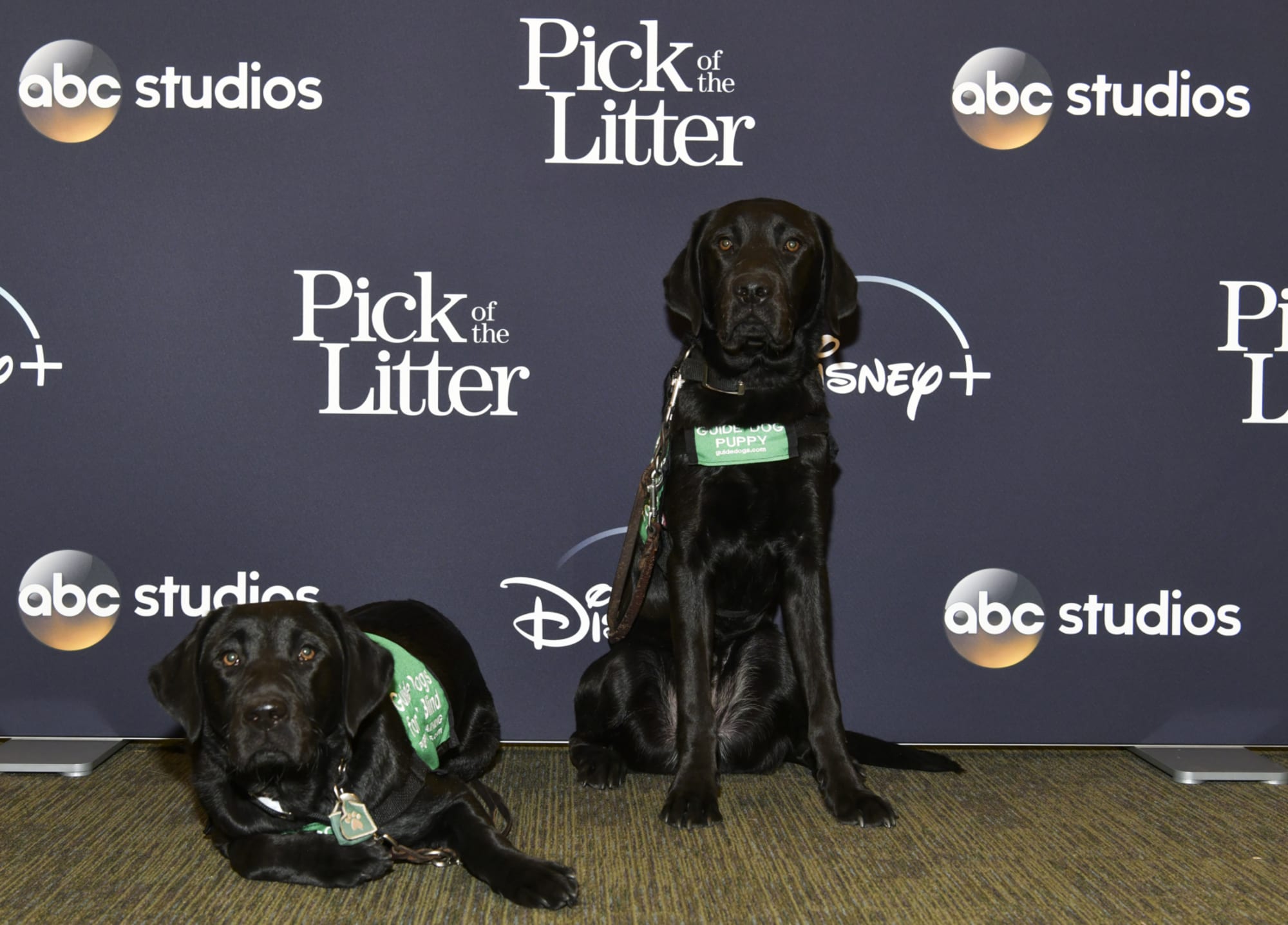 Southeastern Guide Dogs - Working Dog Registry