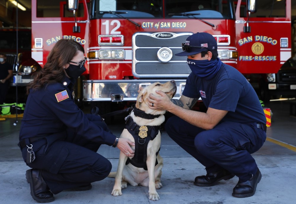 Firefighters Get ESA - Working Dog Registry